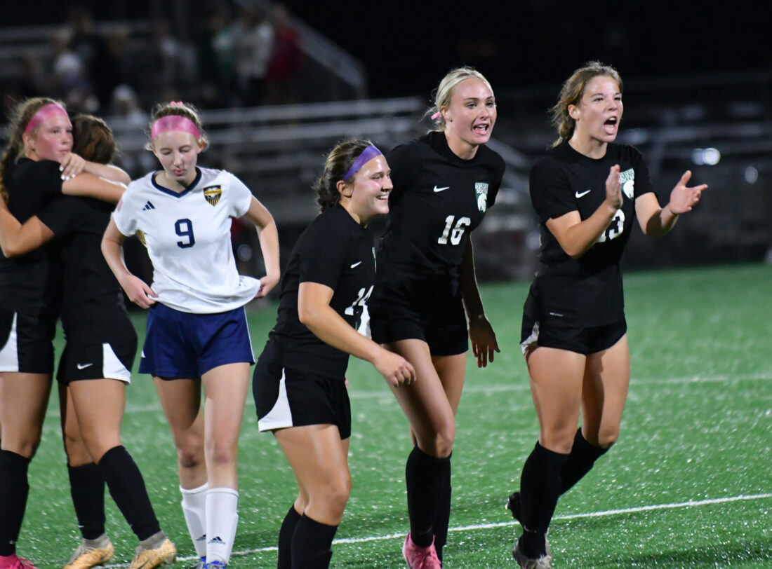 Elizabeth Wolfe propels Hughesville past Montoursville in District 4 ...